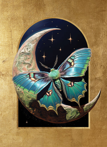 Snowy Owl Arts + Tea House